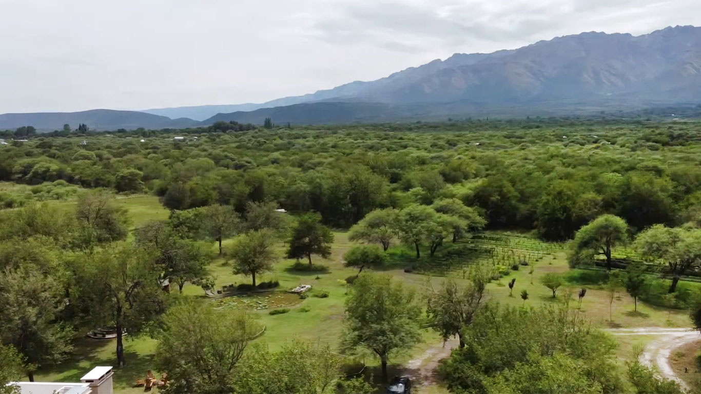 Infraestructura y Servicios - Bosque de Yacana